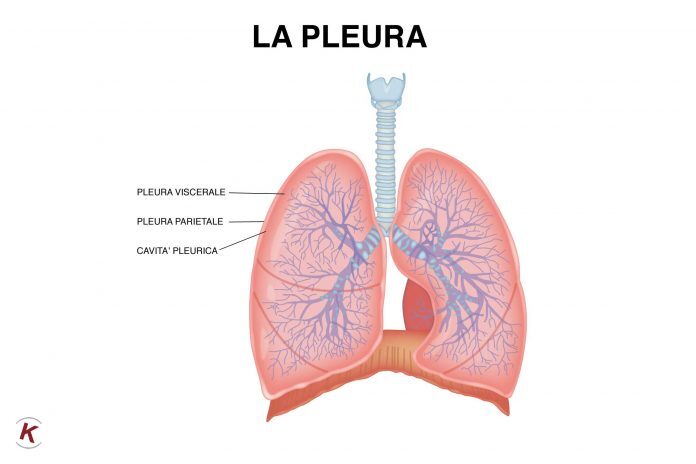 Pleura: cos'è e le condizioni che possono ammalarla