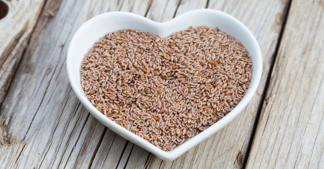 Psillio: cos'è, benefici per l'intestino e controindicazioni