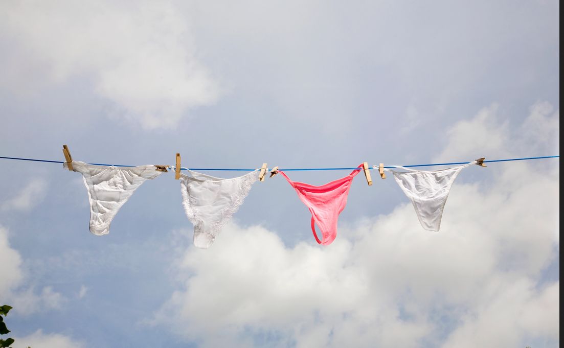 Non cambi la mutanda spesso? Attenta agli insetti al loro interno...