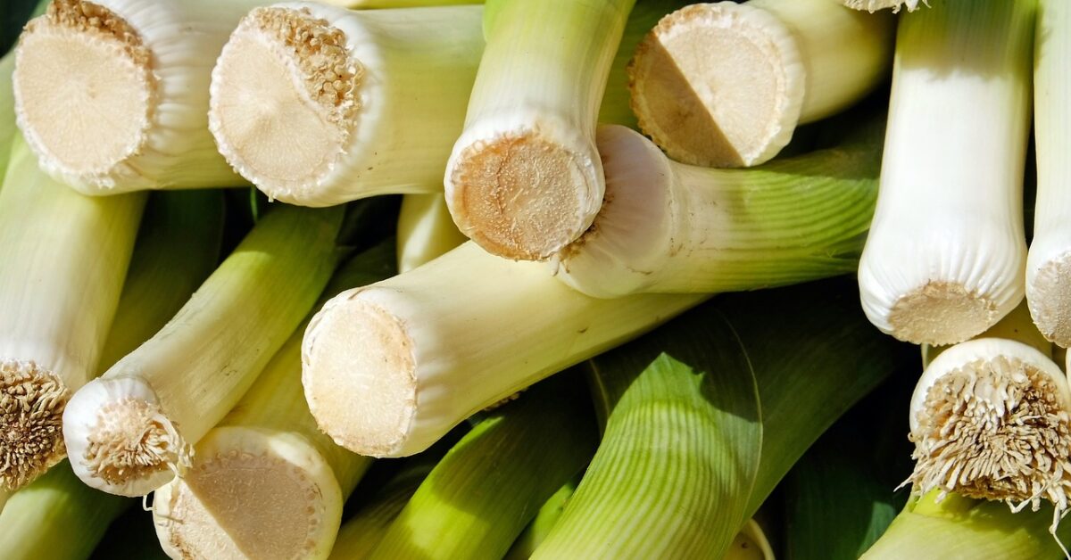 Come cucinare il porro