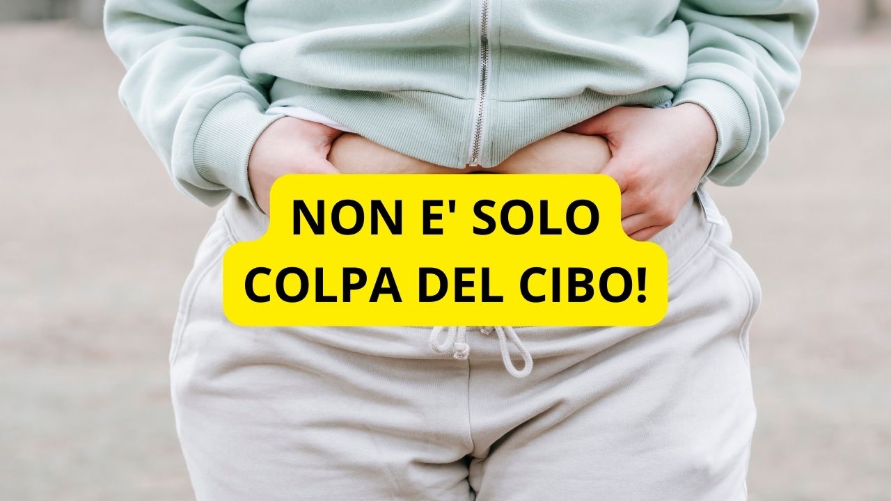 Perché con l'avanzare dell'età tendiamo ad ingrassare? Ecco la risposta ...