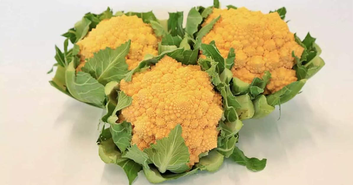 È salutare mangiare broccoli quando sono gialli?