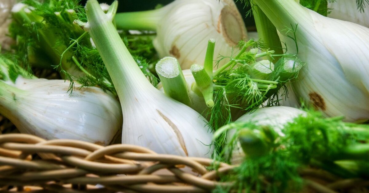 Finocchi al top: scopri come pulirli e degustarli al meglio per ...