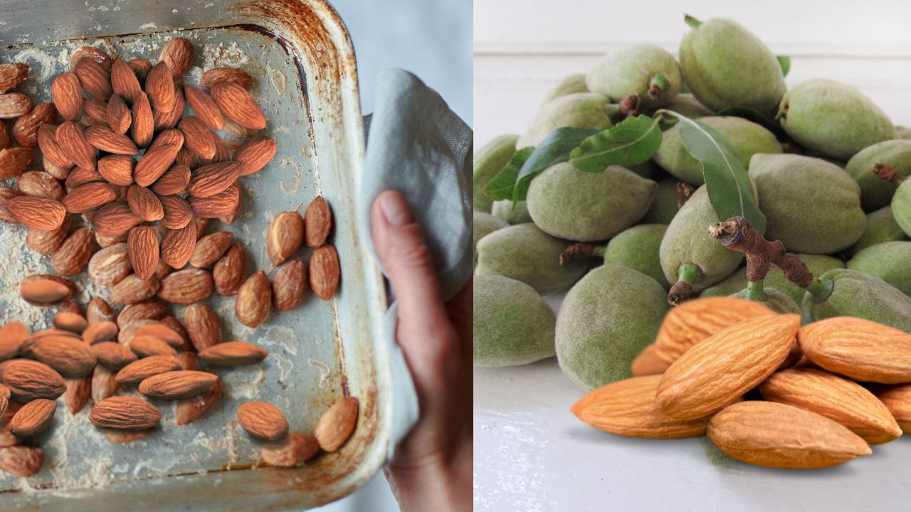 Mandorle tostate o al naturale: quali fanno più bene alla salute?