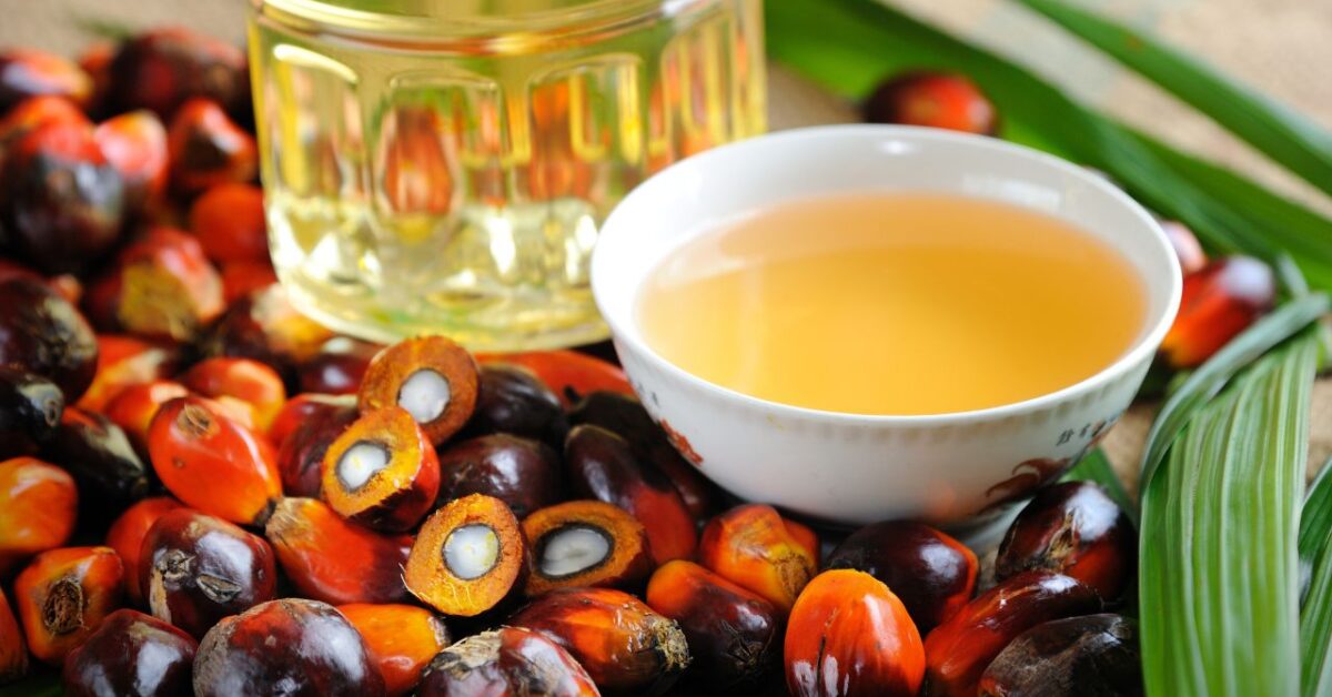 L'olio di palma fa male alla salute? Tutto quello che devi sapere