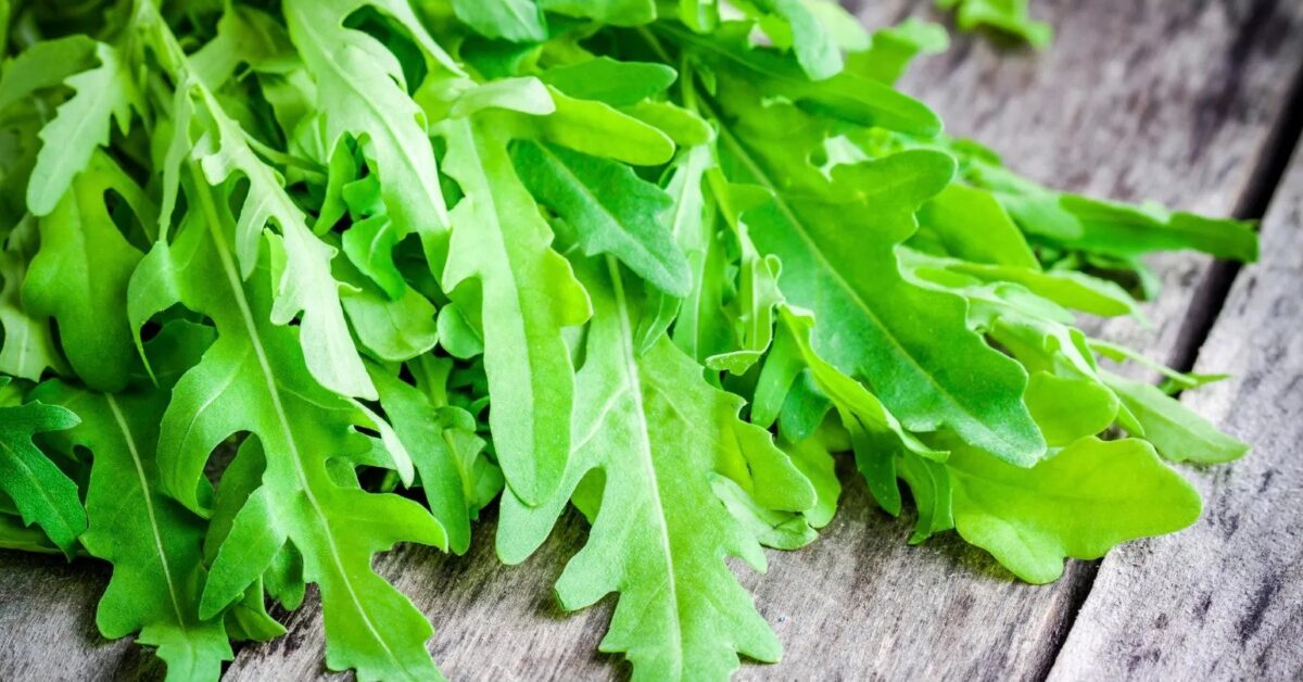 Cosa ti succede se mangi spesso la rucola
