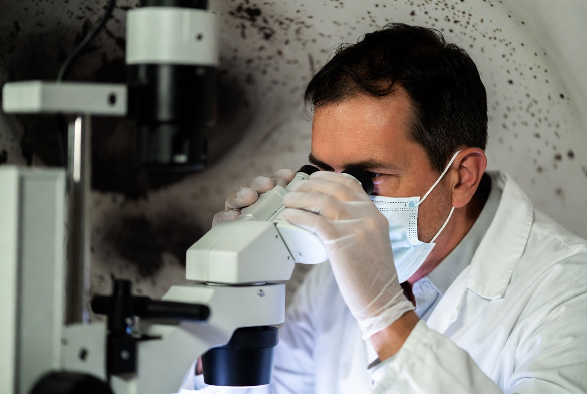 Allarme Ocse, un bambino su cinque soffre di ansia senza smartphone: i ...